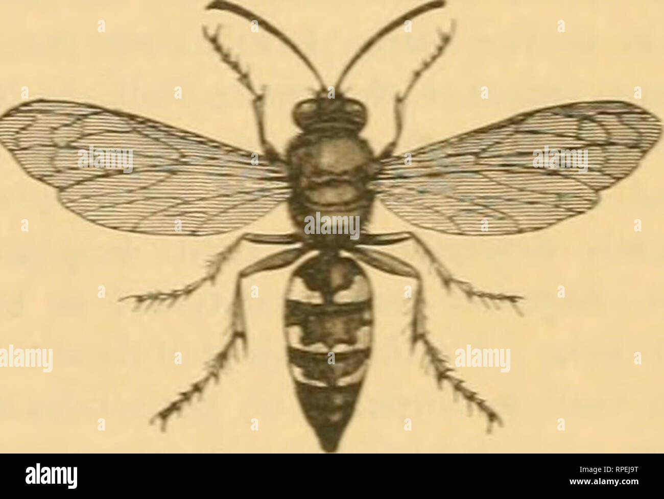 Micro folds hi-res stock photography and images - Alamy