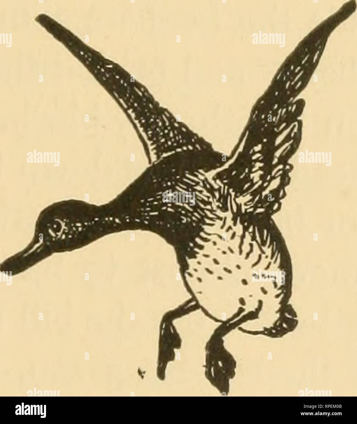 Rough cider hi-res stock photography and images - Alamy