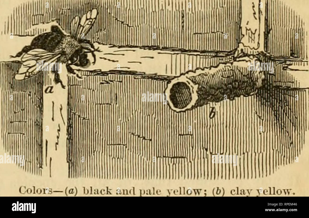 Bot with holes hi-res stock photography and images - Alamy