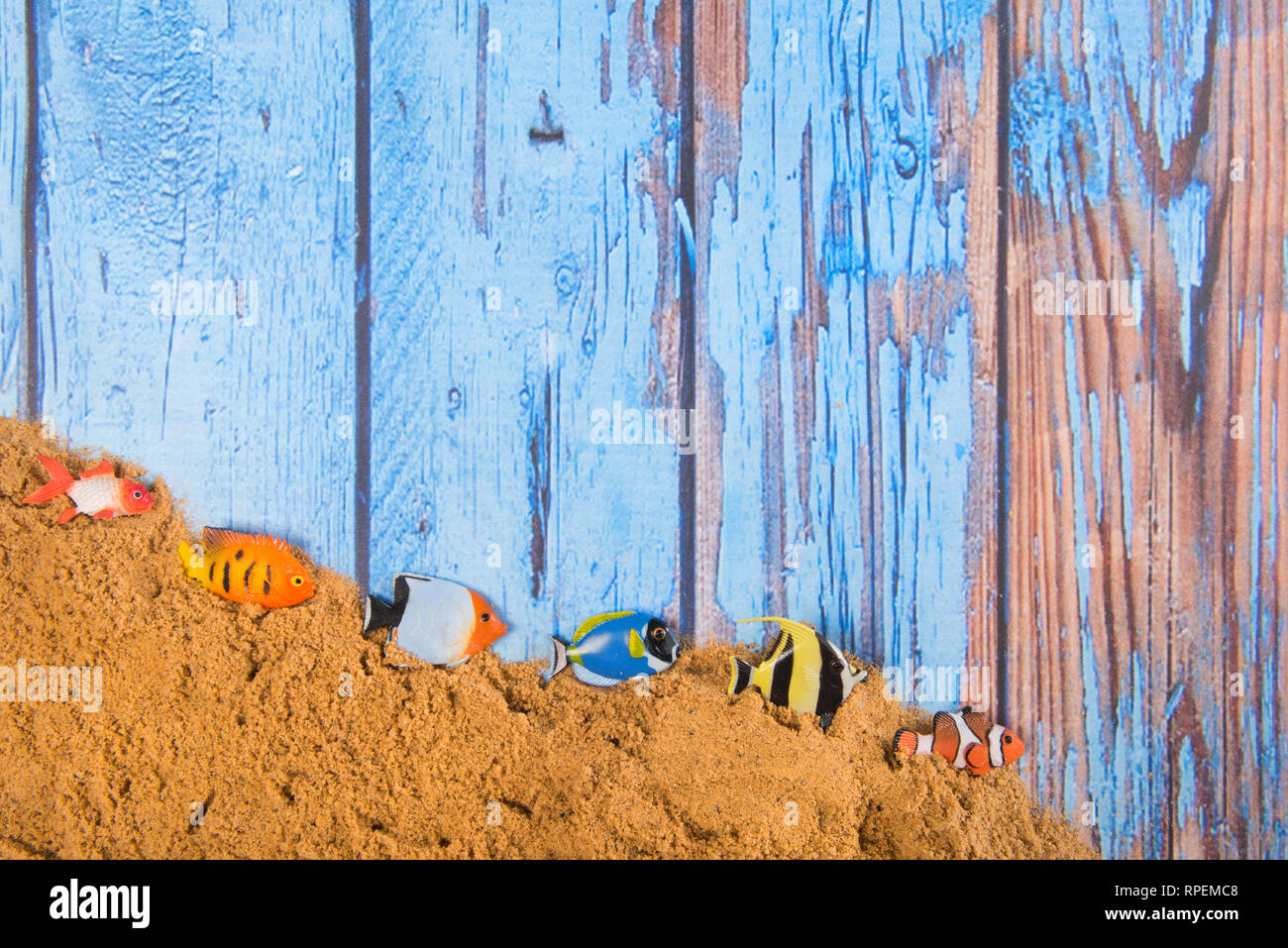 Plastic fishes in sand at the beach Stock Photo - Alamy