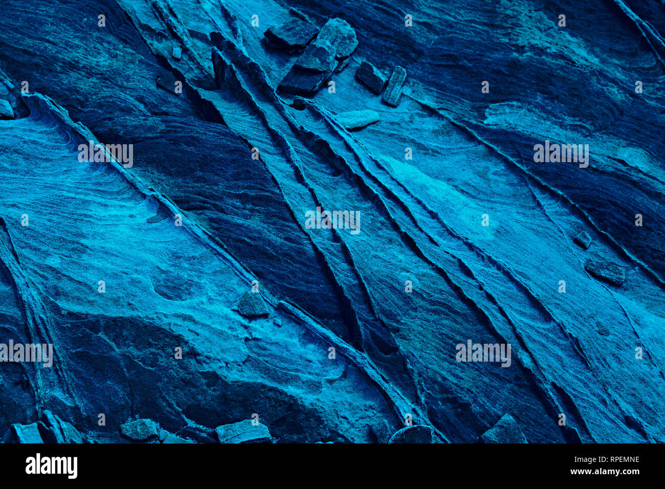 Creative Background And Texture In Neon Blue, Organic And Natural ...