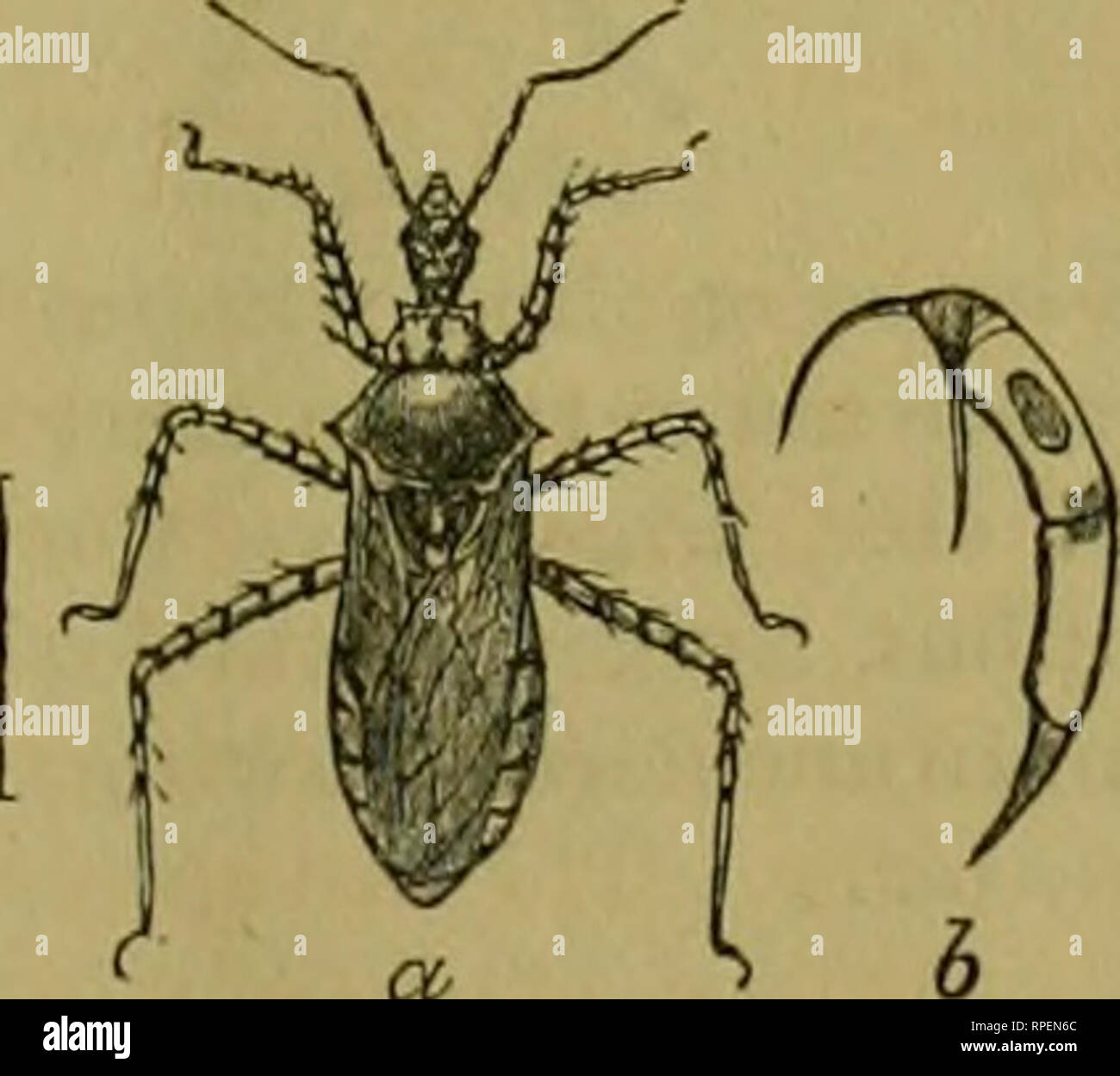 Half hulls hi-res stock photography and images - Alamy