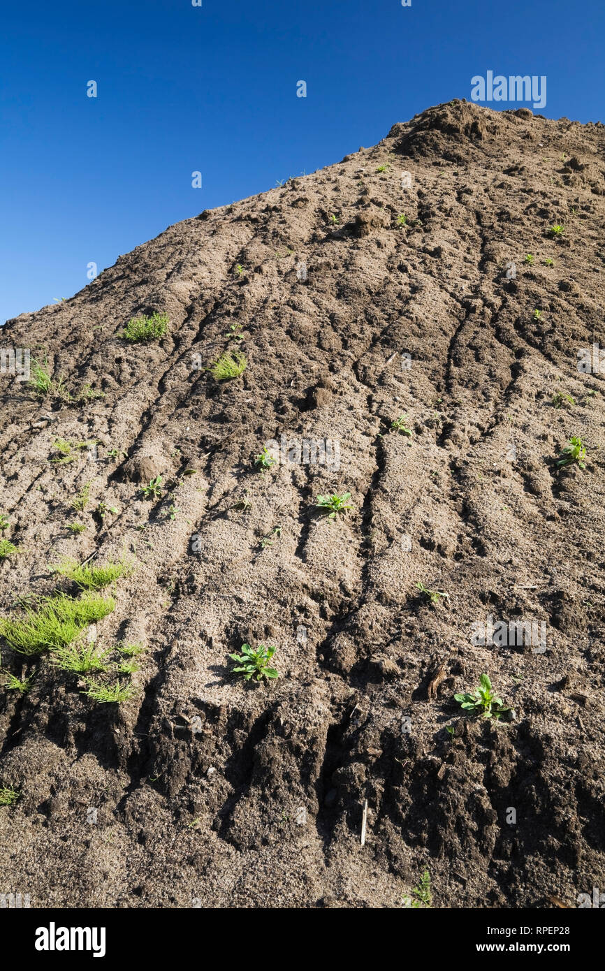 Mound of sand after a heavy rainfall in a commercial sandpit Stock ...
