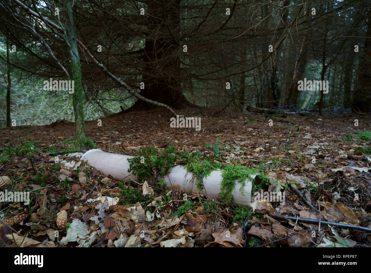 Plastic pollution tree hi-res stock photography and images - Alamy