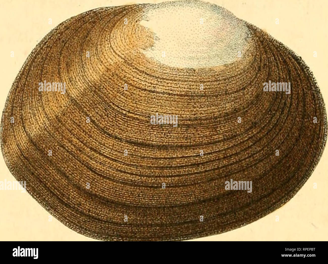 1834 1927 hi-res stock photography and images - Alamy