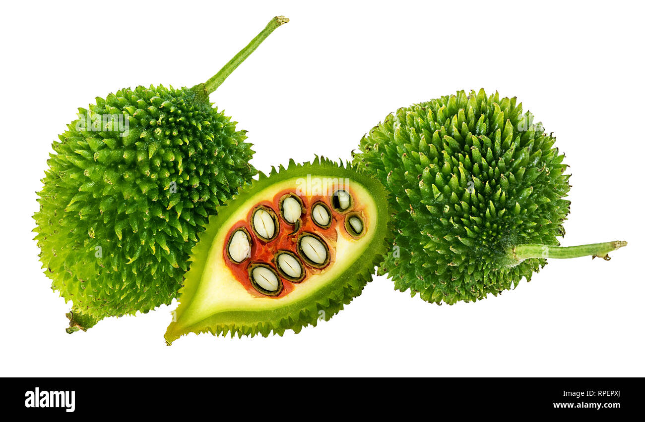 Momordica (Thumba Karawila) with clipping path on the white Stock Photo ...