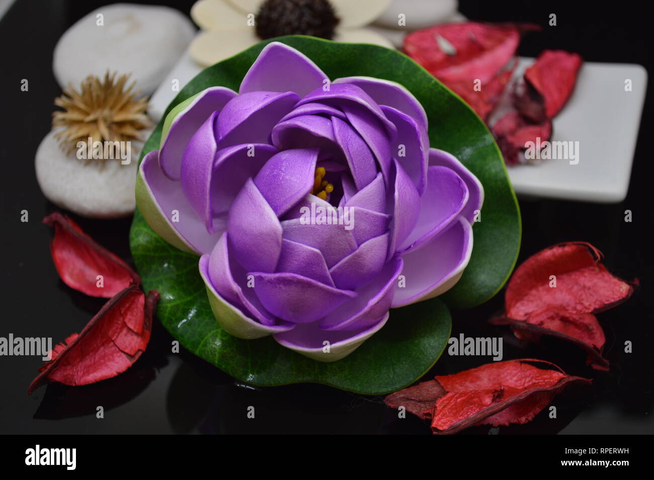 flower zen therapy meditation nature Stock Photo - Alamy