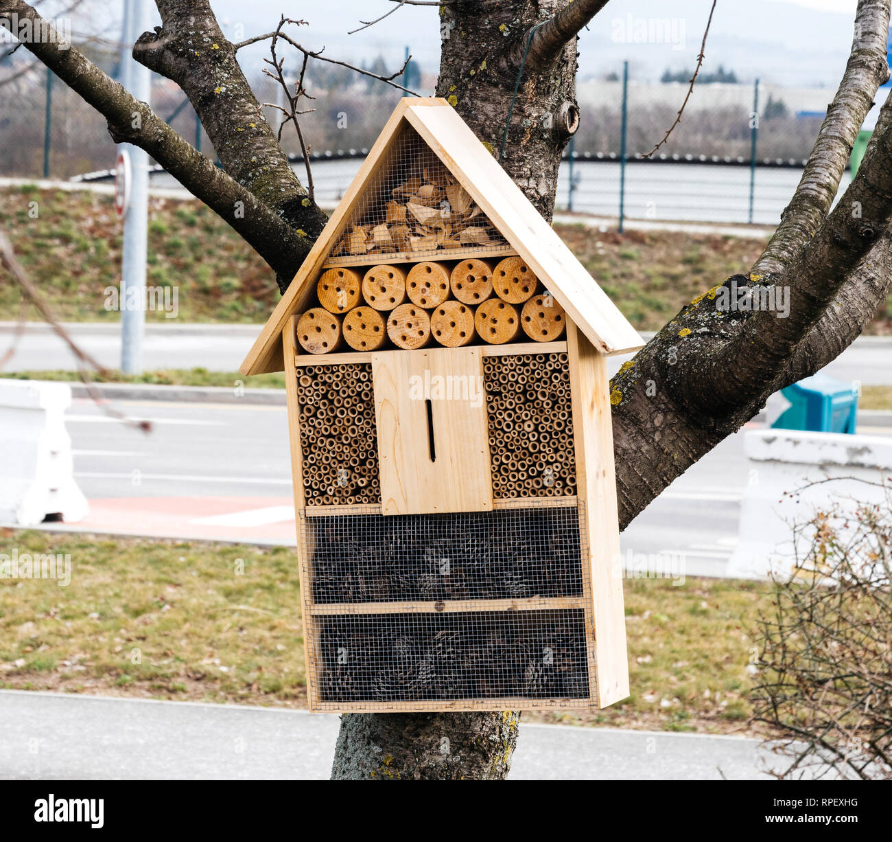 Insect hotel hanging on a tree in urban parking - city environment ...
