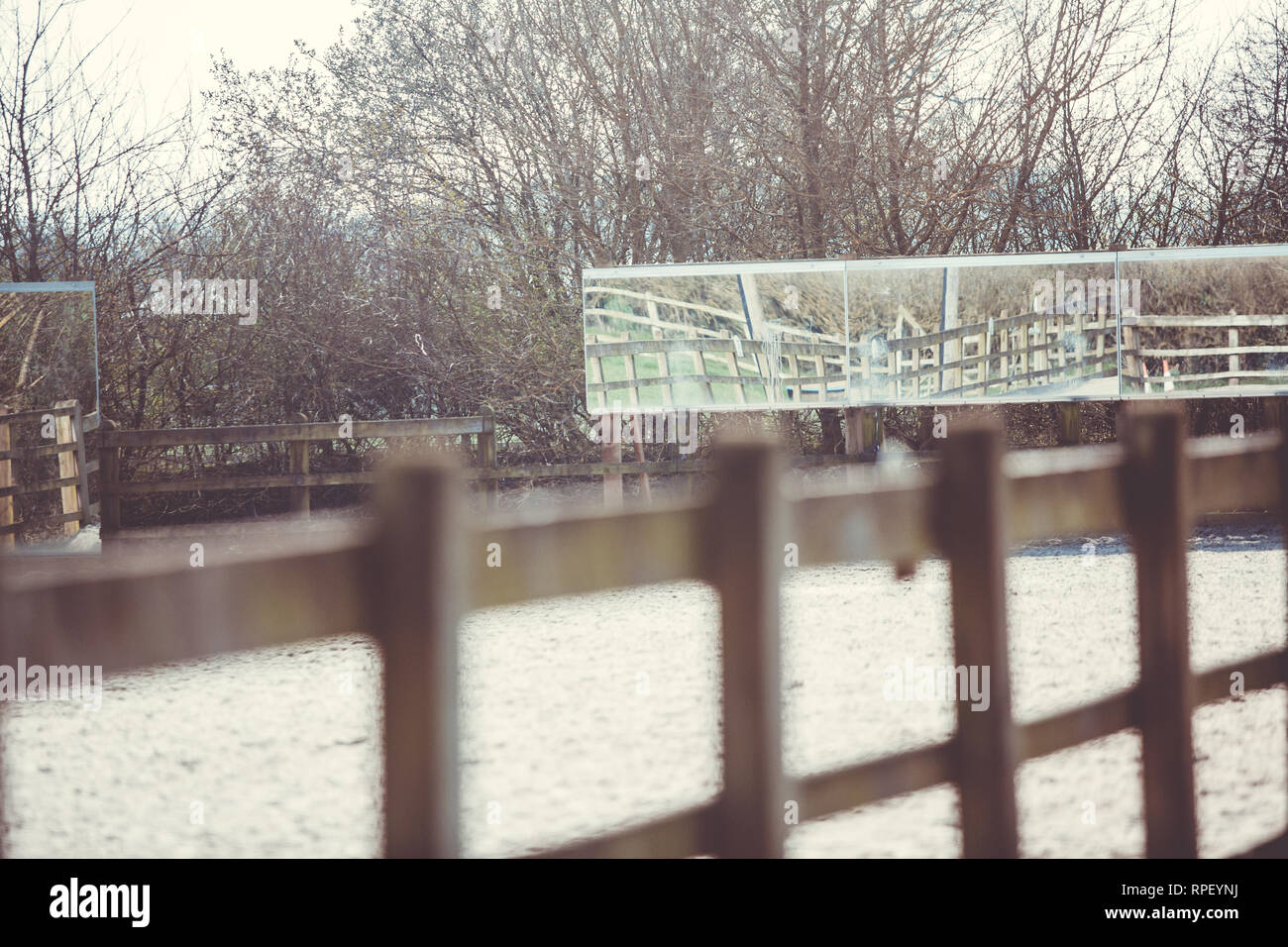 racing horse training ground Stock Photo - Alamy