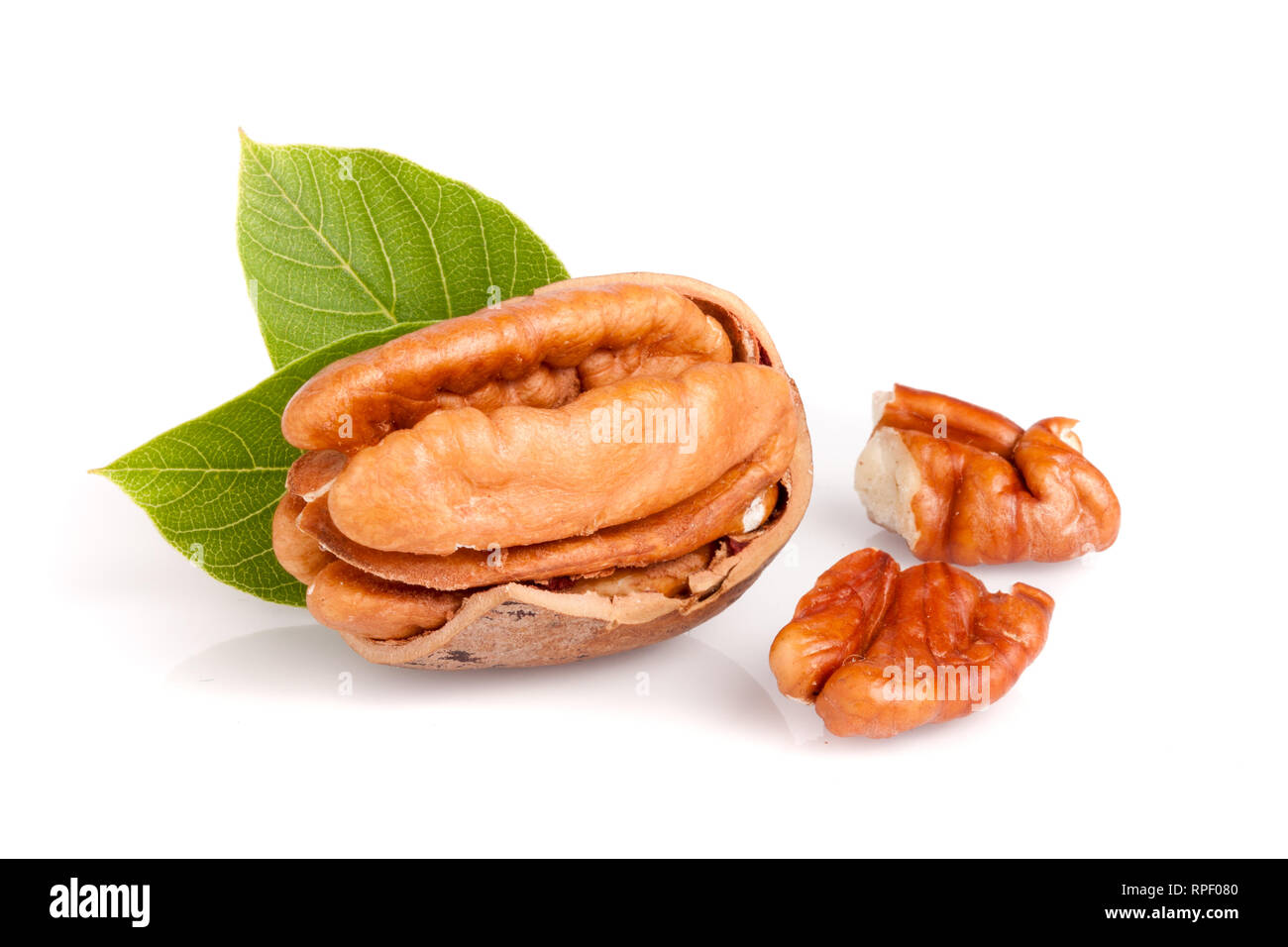 one pecan with leaves isolated on white background Stock Photo - Alamy