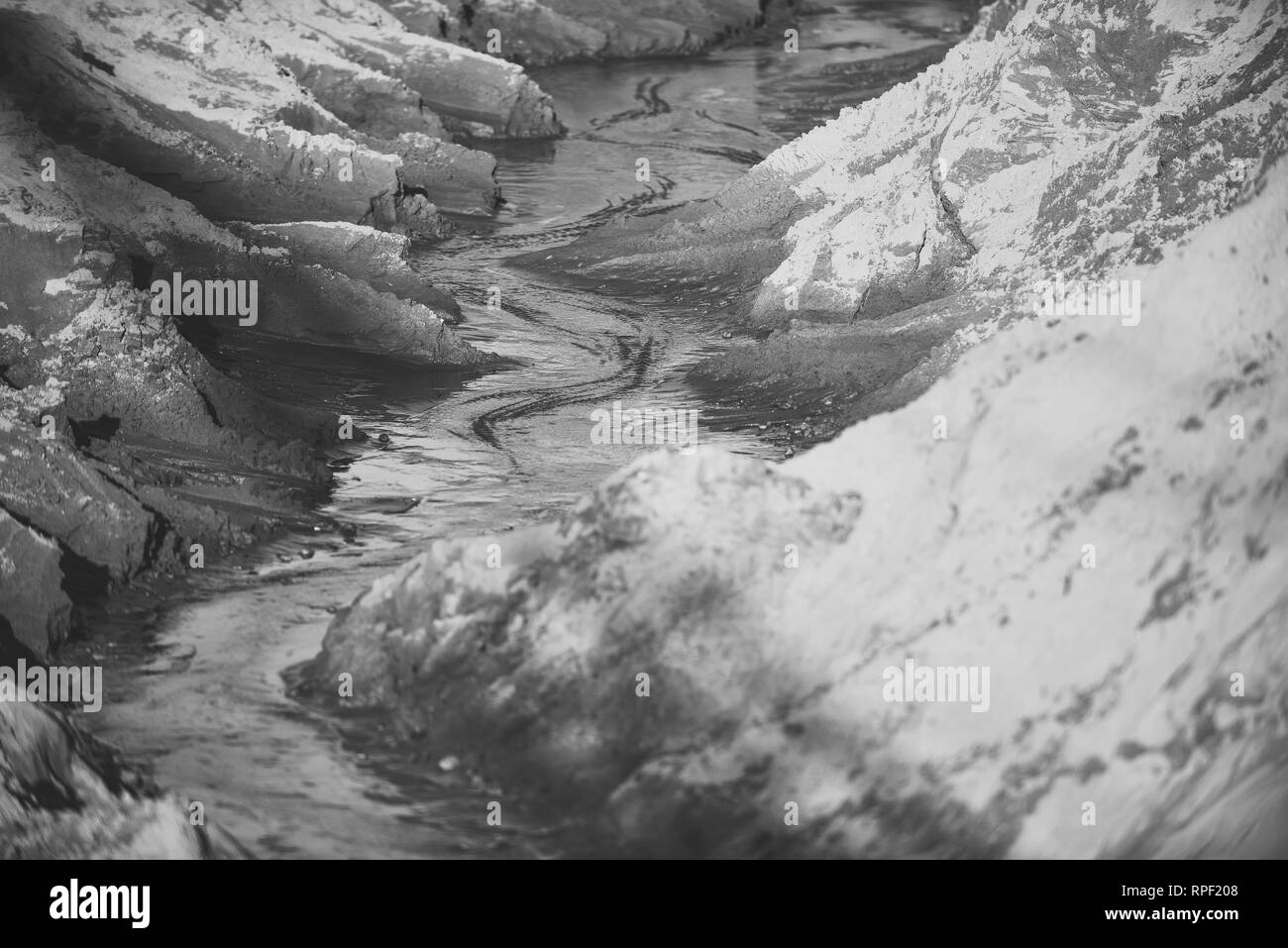 Summer flow and environment Black and White Stock Photos & Images - Alamy