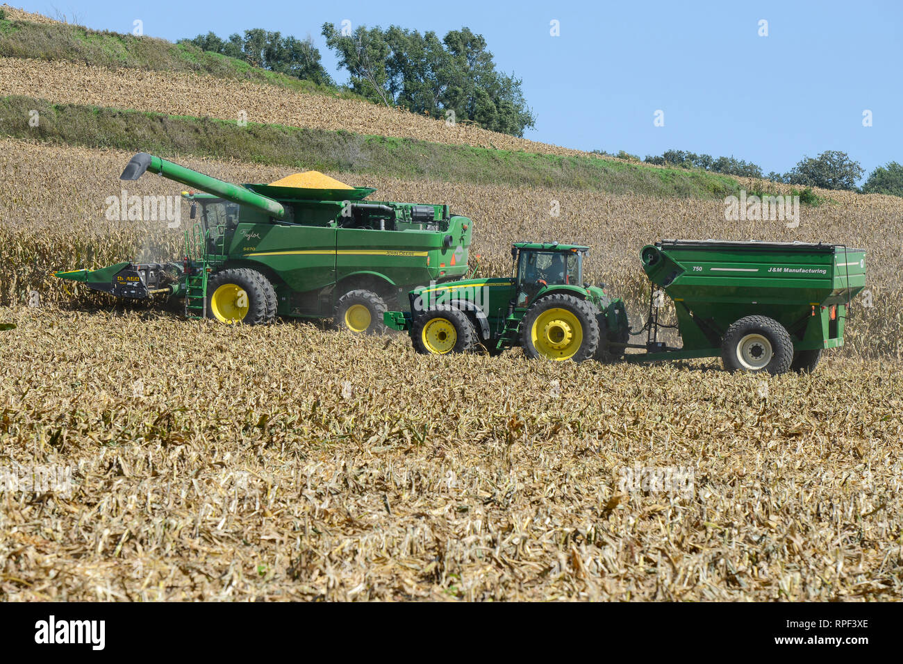USA, Nebraska, Omaha Reservation, Omaha Nations Farm, corn harvest with ...