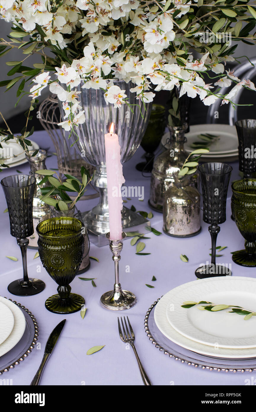 Wedding decoration for banquet with olive tree Stock Photo - Alamy