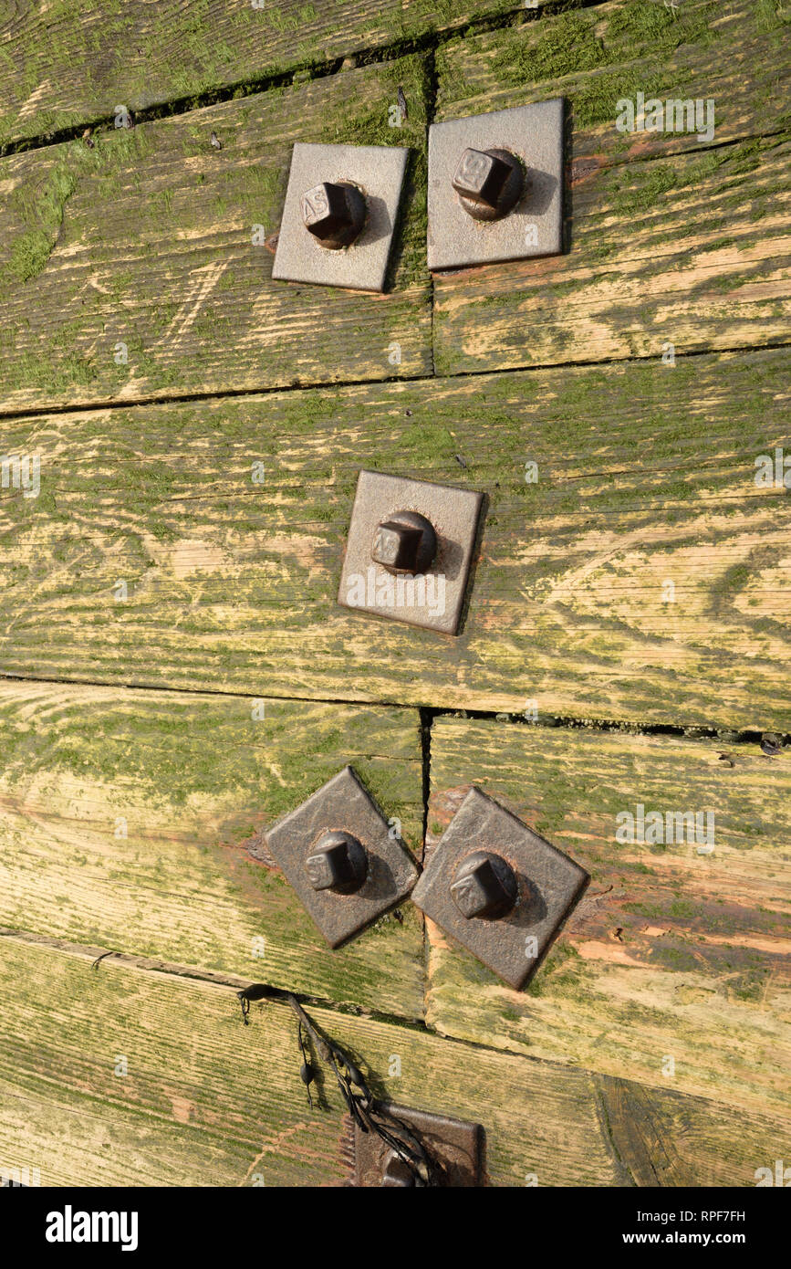 Rusty steel fixings and bracket and algal growth on timber groyne beach ...