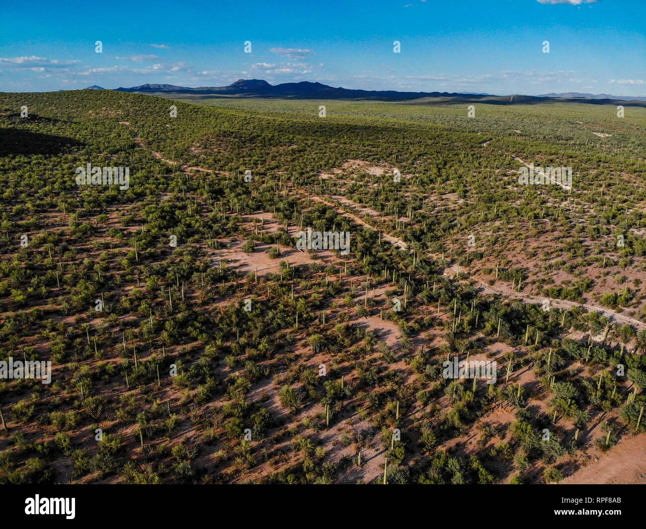Vista aerea del desierto, Caborca Sonora. Aerial view of the desert ...