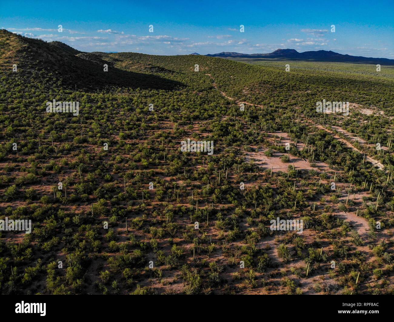 Vista aerea del desierto, Caborca Sonora. Aerial view of the desert ...