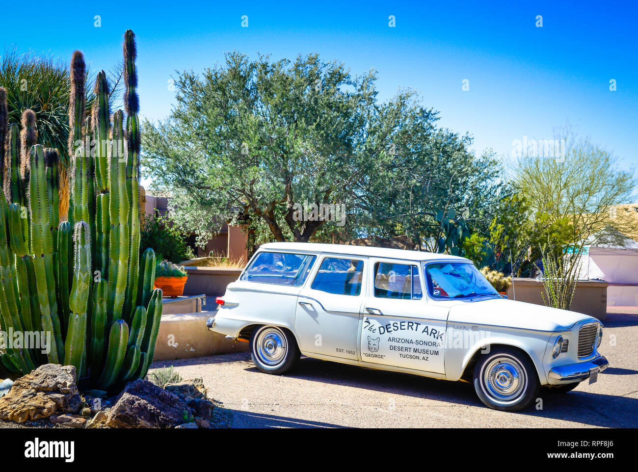 Arizonasonora hi-res stock photography and images - Alamy