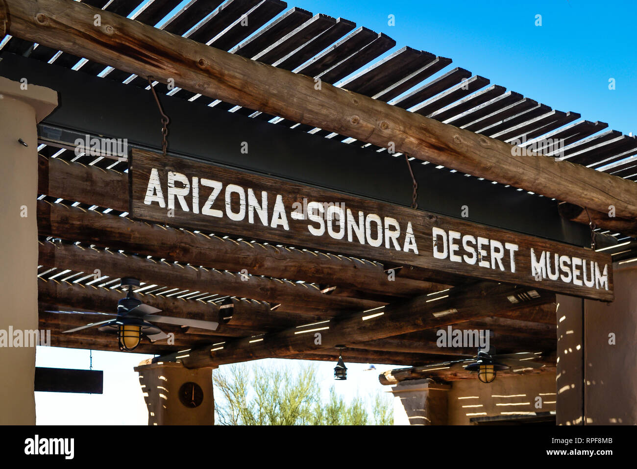 Natural History Museum Wildlife Garden Stock Photos & Natural History ...