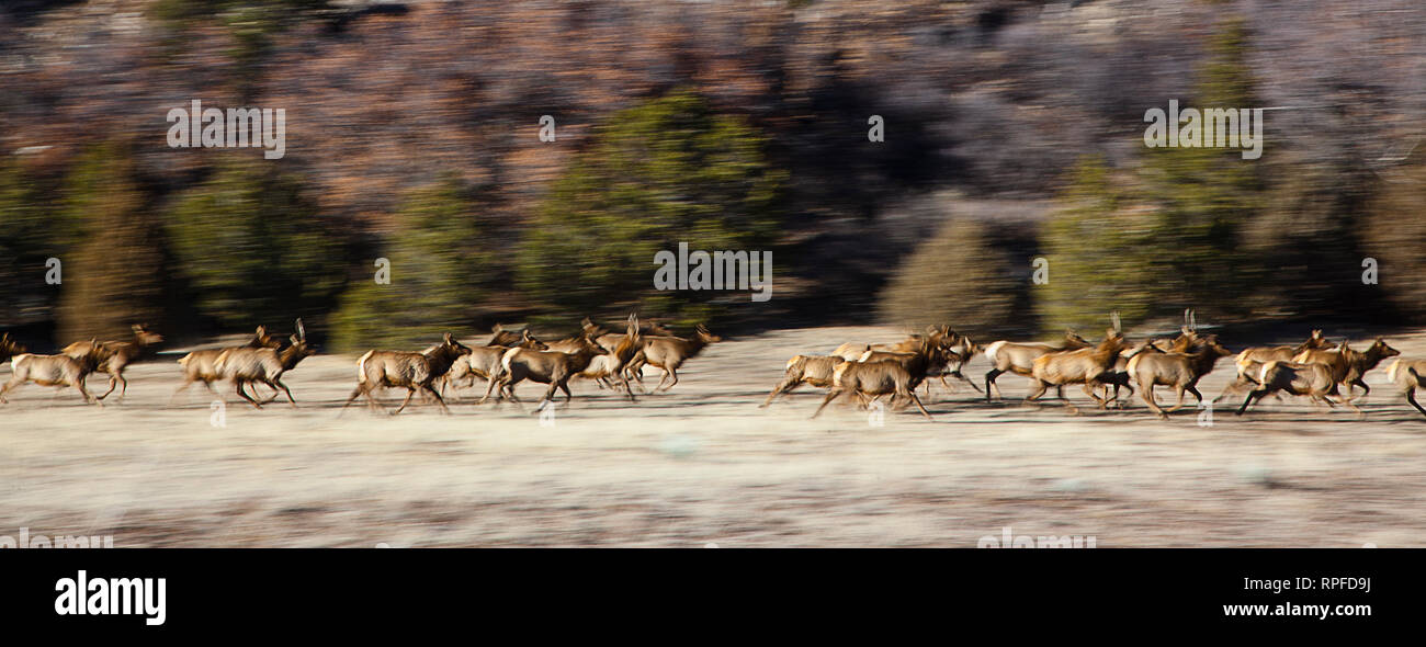 Cimarron new mexico hi-res stock photography and images - Alamy