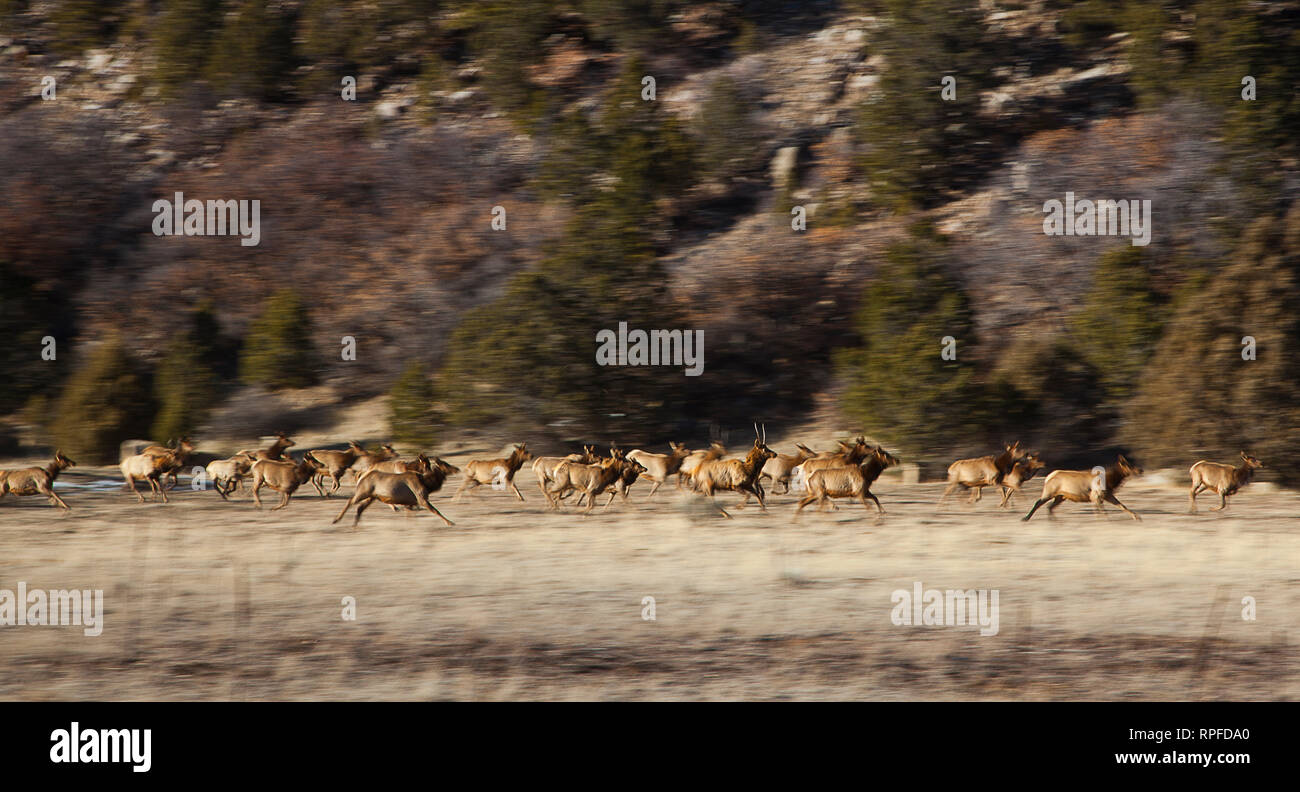 Cimarron new mexico hi-res stock photography and images - Alamy