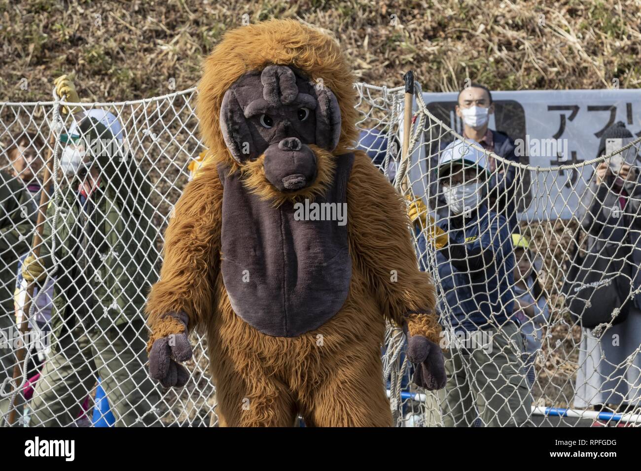 Tama zoo orangutan hi-res stock photography and images - Alamy