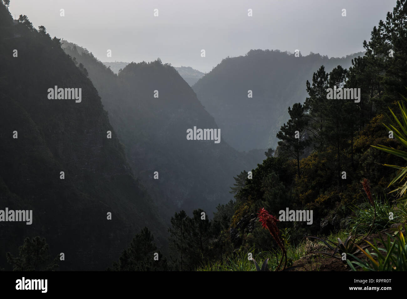 Curral das Freiras, Madeira, Portugal Stock Photo - Alamy