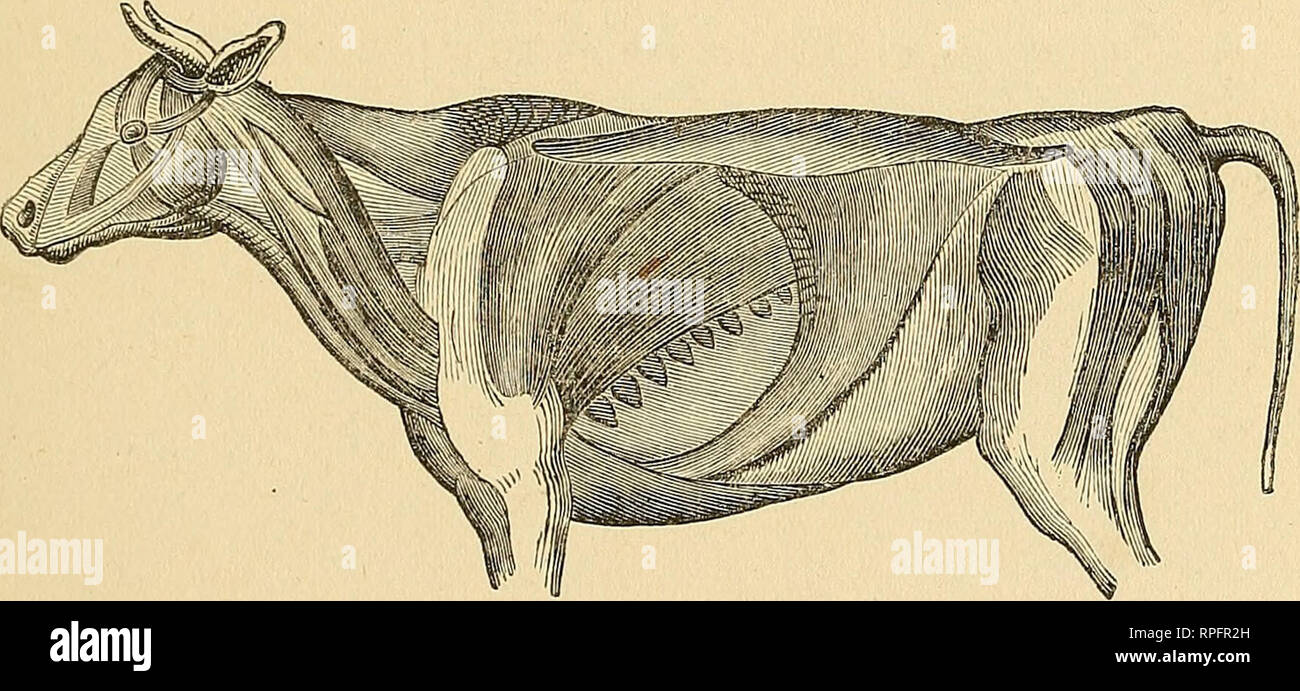 Doctor gruel hi-res stock photography and images - Alamy