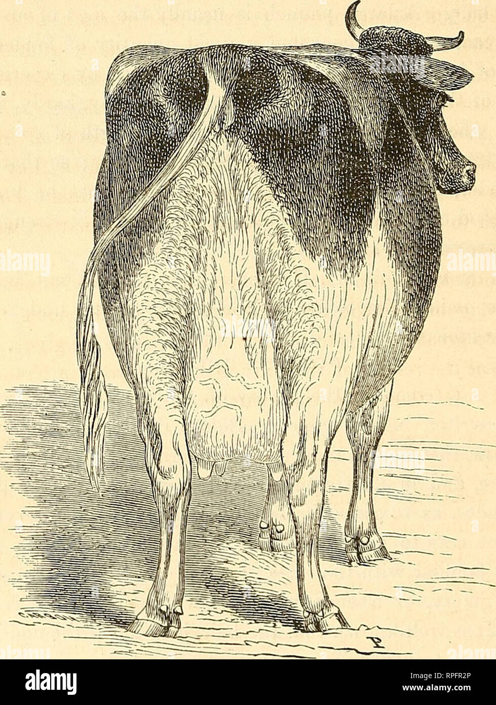 Escutcheon plates hi-res stock photography and images - Alamy