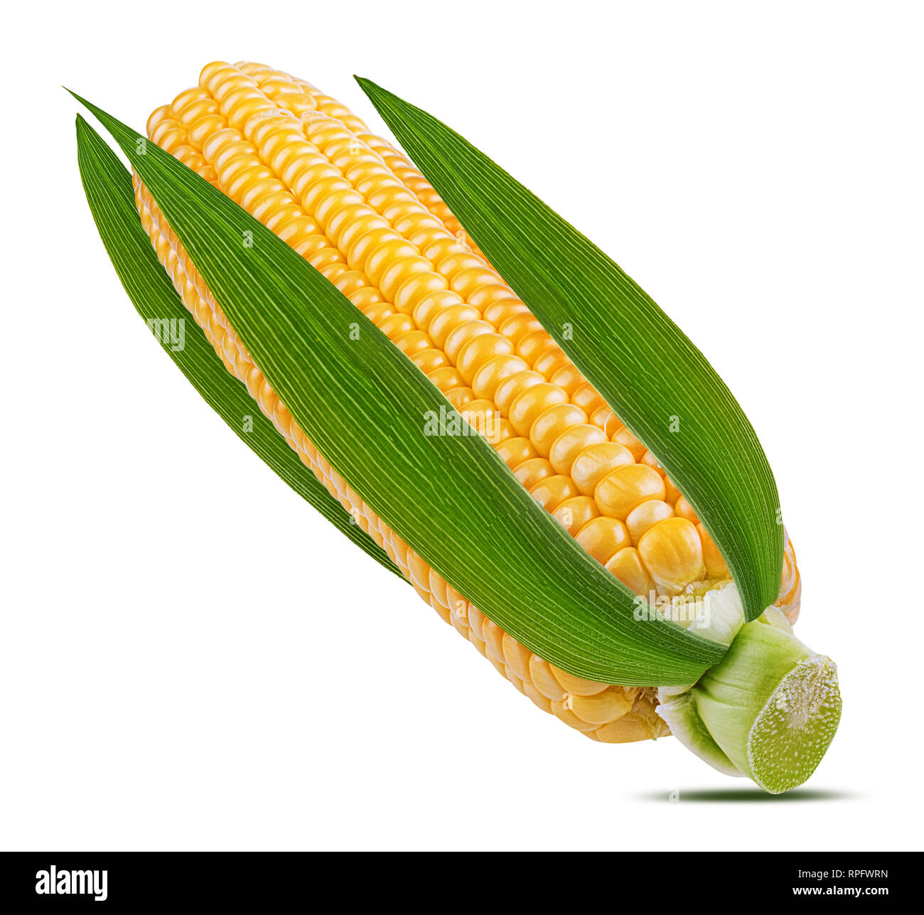 Corn isolated on white background Stock Photo - Alamy