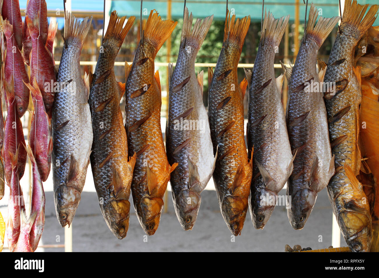Different types of salted dried fish hanging on ropes on a street ...