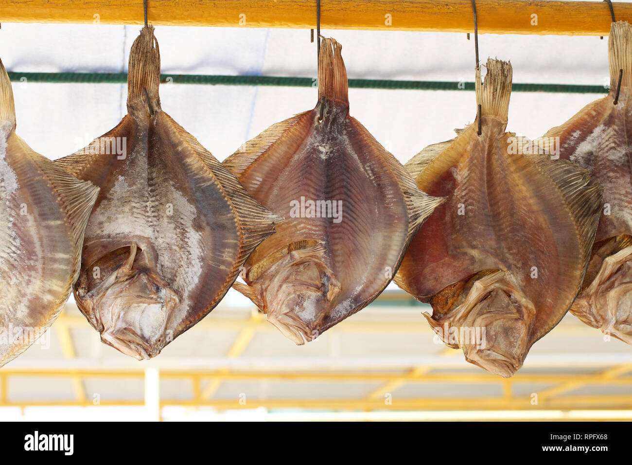 Salted dried kalgan fish hanging on the ropes on the street market in ...