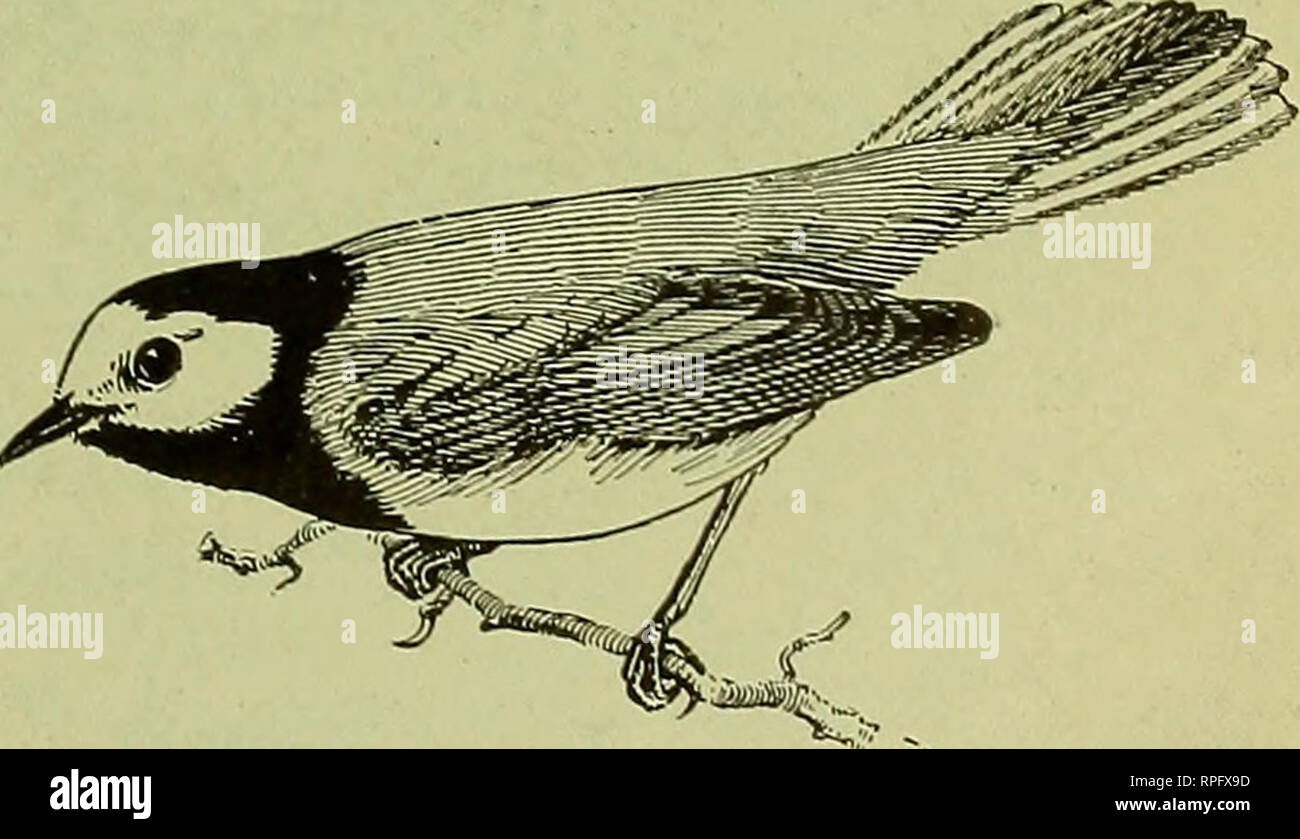 William horsfall hi-res stock photography and images - Alamy