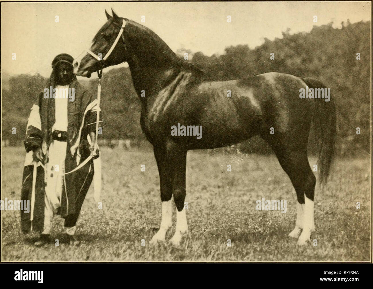 Camp colt history hi-res stock photography and images - Alamy