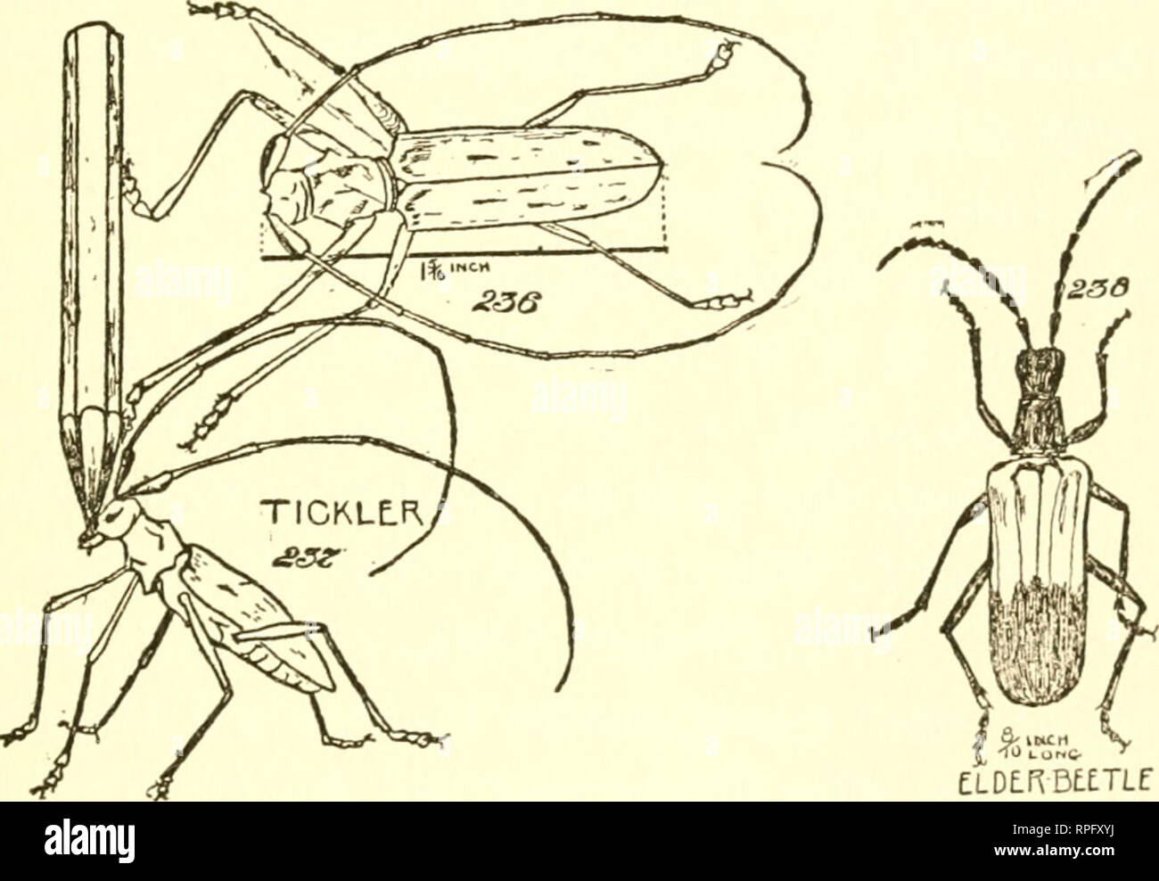 Creaking floor hi-res stock photography and images - Alamy