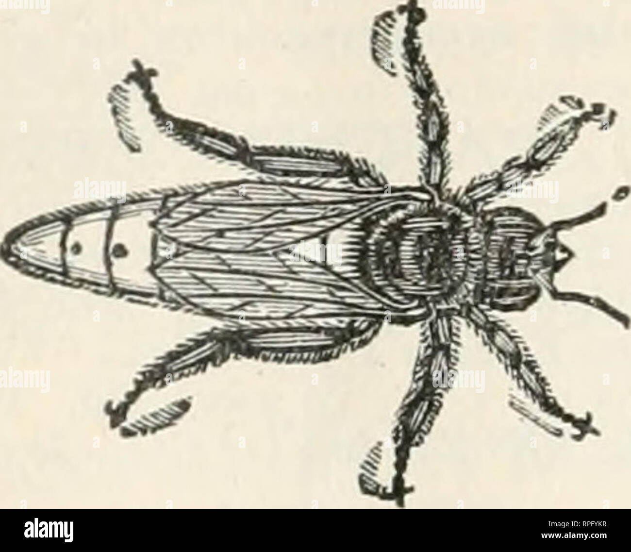 Chronicle band hi-res stock photography and images - Alamy