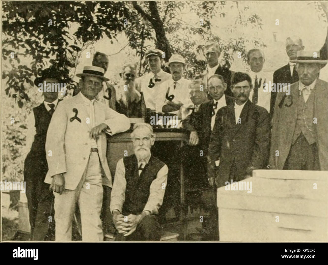 . American bee journal. Bee culture; Bees. 337 American Vee Journal ...