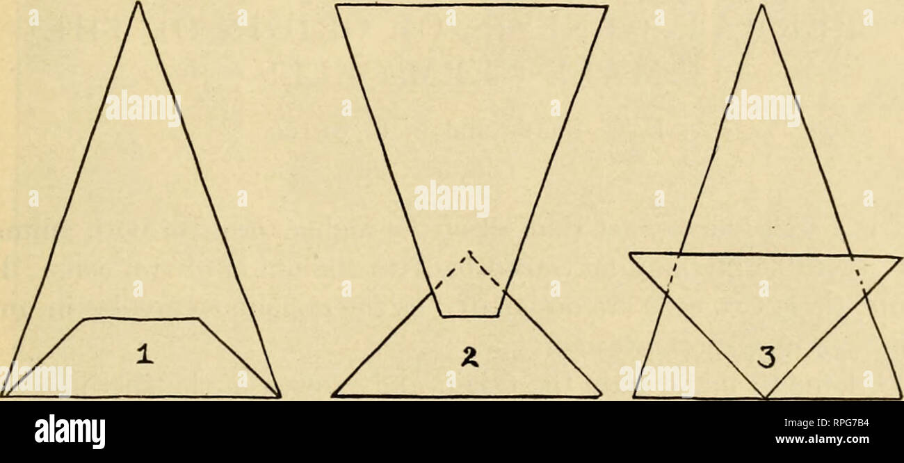 Reciprocal figures hi-res stock photography and images - Alamy