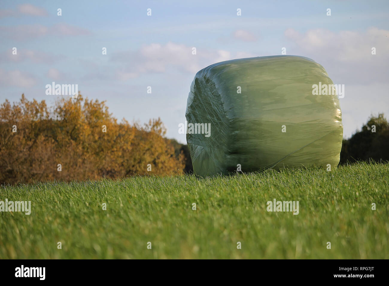 Food bails hi-res stock photography and images - Alamy