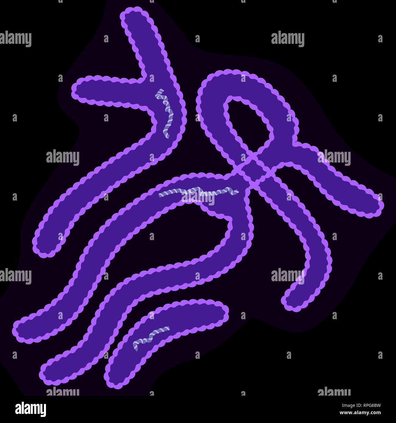 Ebola virus on dark background, vector illustration Stock Vector Image ...