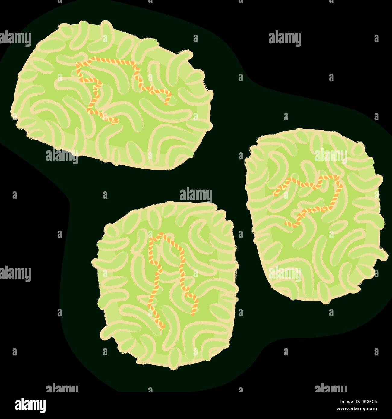 Smallpox Stock Vector Images - Alamy