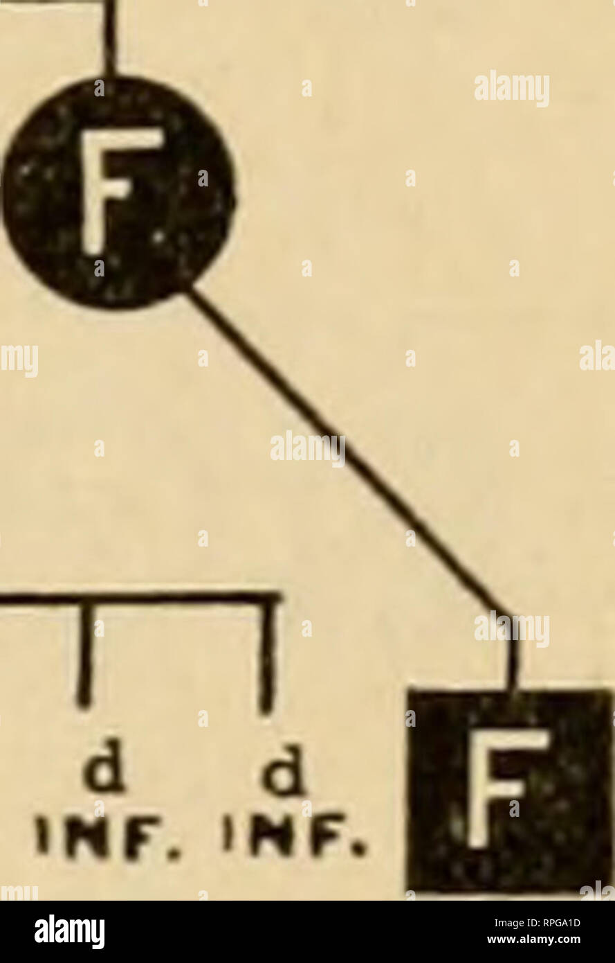 Prepotent woman hi-res stock photography and images - Alamy