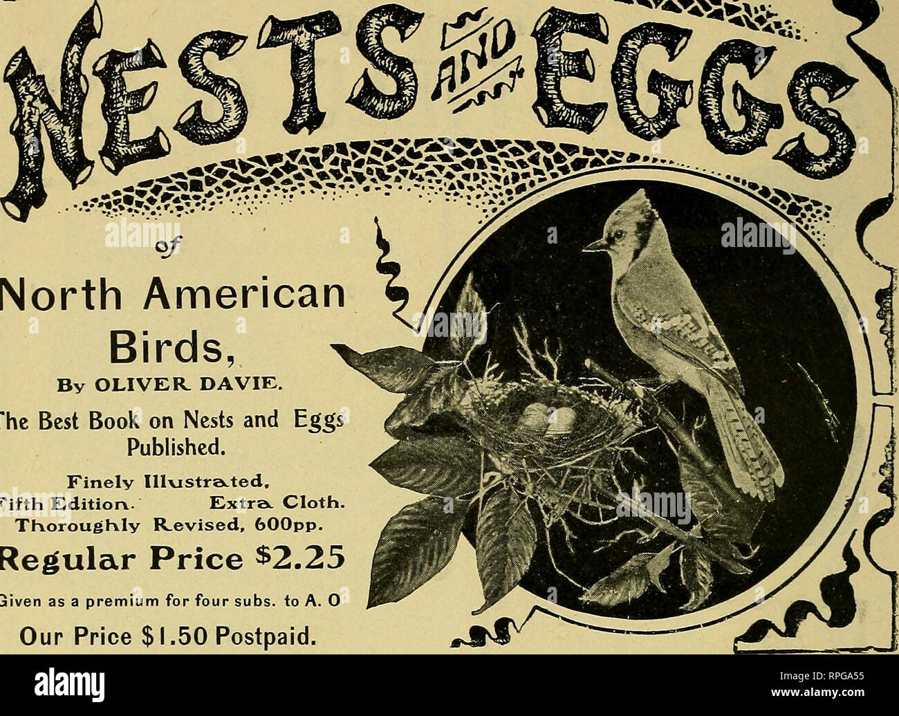 John graham bird hi-res stock photography and images - Alamy