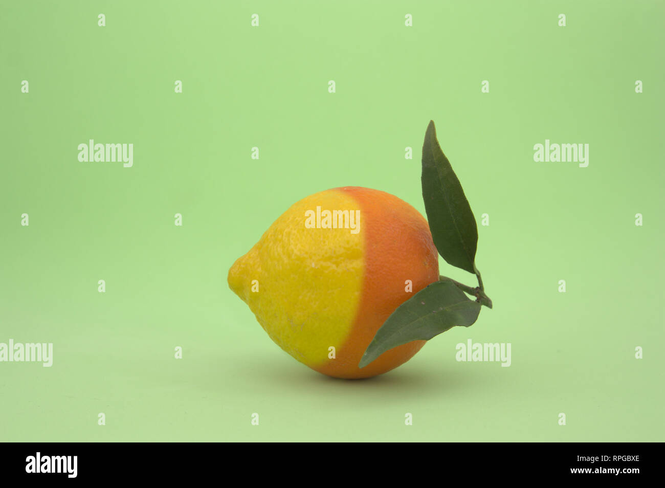 Computer mix of a lemon and an orange with leaves. It is a matter of ...