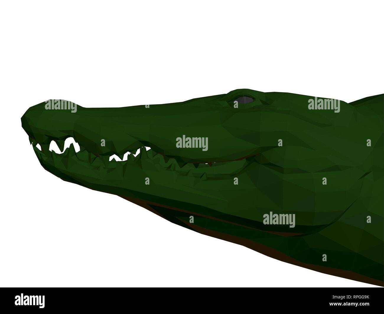Crocodile head. Green polygonal crocodile head on a white background ...