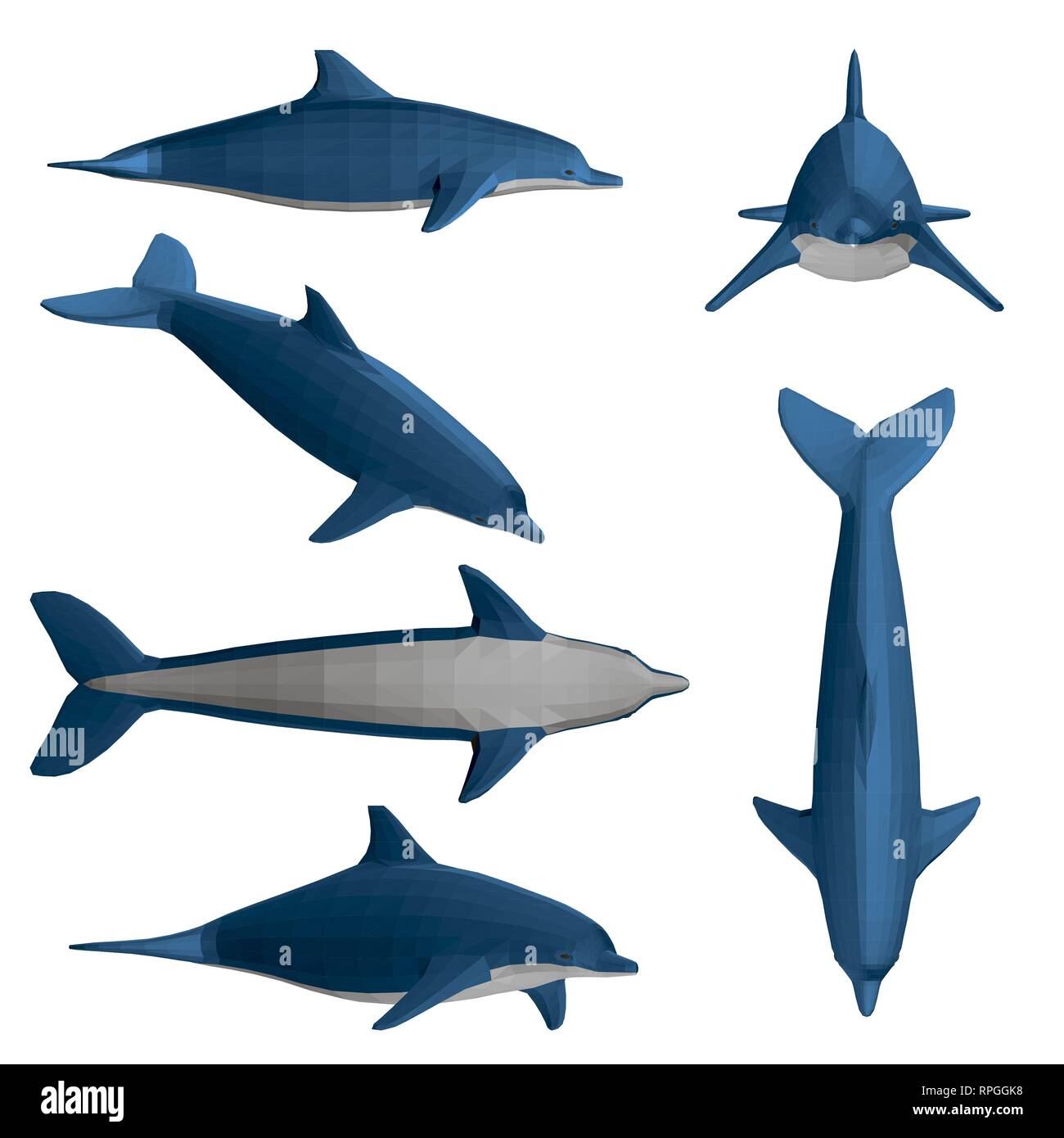 Set with a dolphin. Polygonal dolphin from different angles. Blue ...