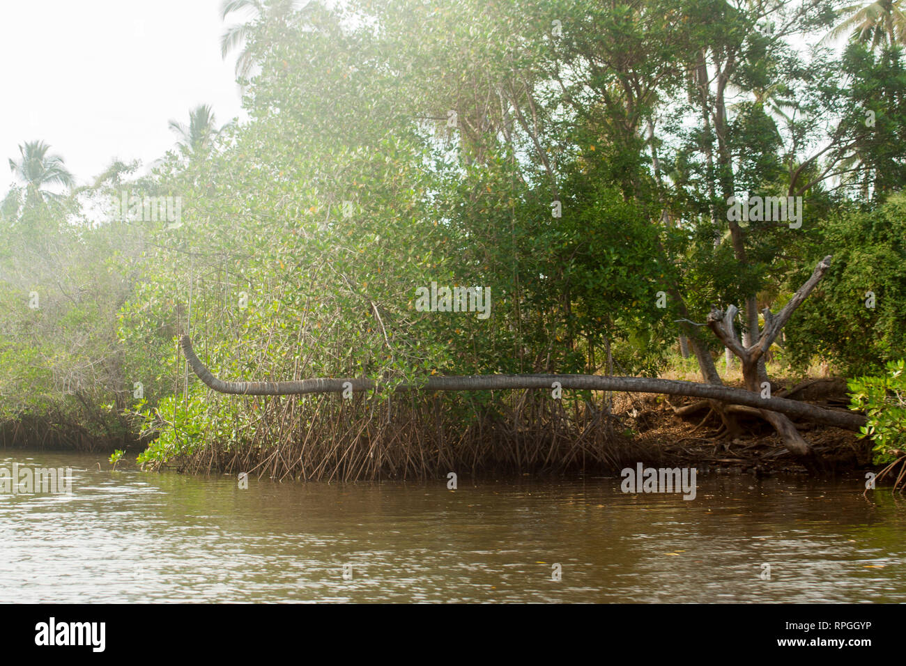 Barra de santiago el salvador hi-res stock photography and images - Alamy
