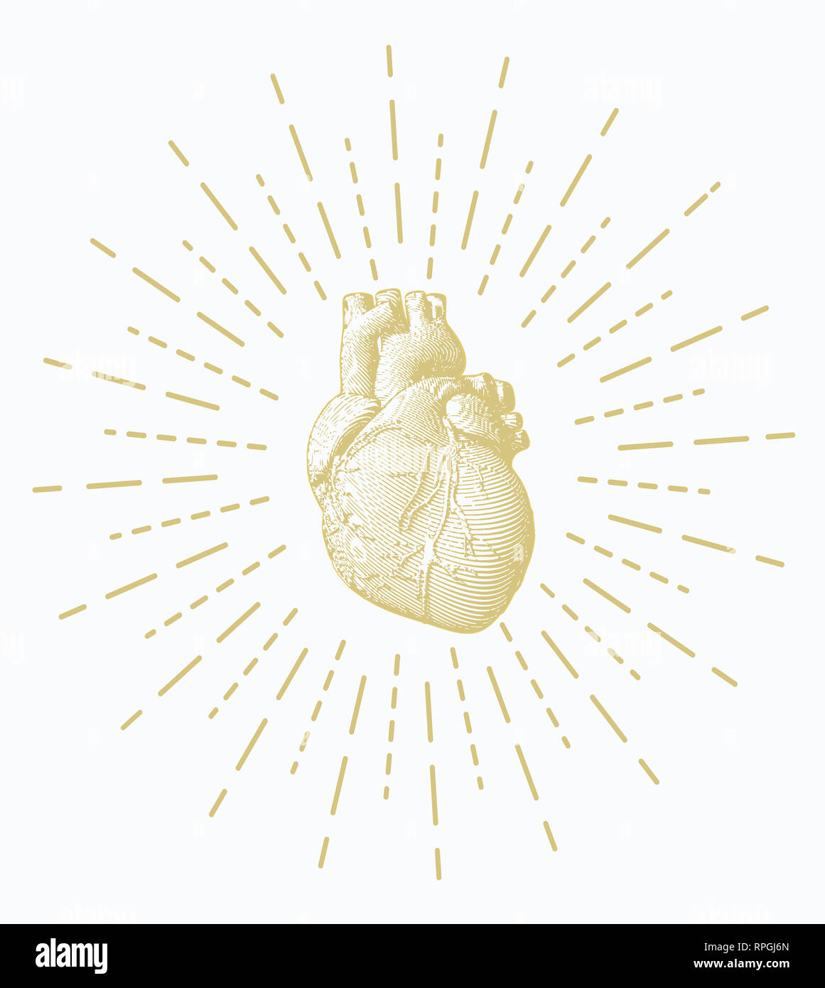 Golden Human Heart