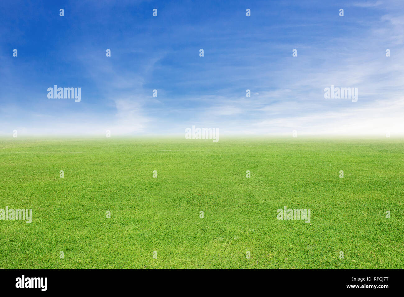 grass and sky background Stock Photo - Alamy