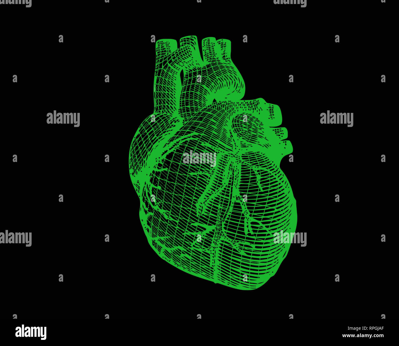 Green human heart digital wireframe isolated on dark background Stock ...
