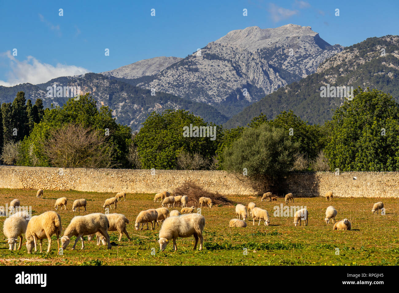 Highest Mountain In Mallorca High Resolution Stock Photography and ...